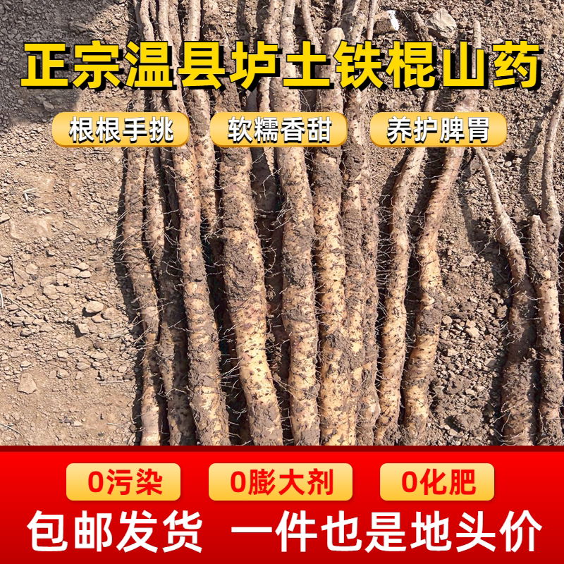 【焦作温县】正宗铁棍淮山怀山药垆土地5斤装怀善食山药软糯香甜