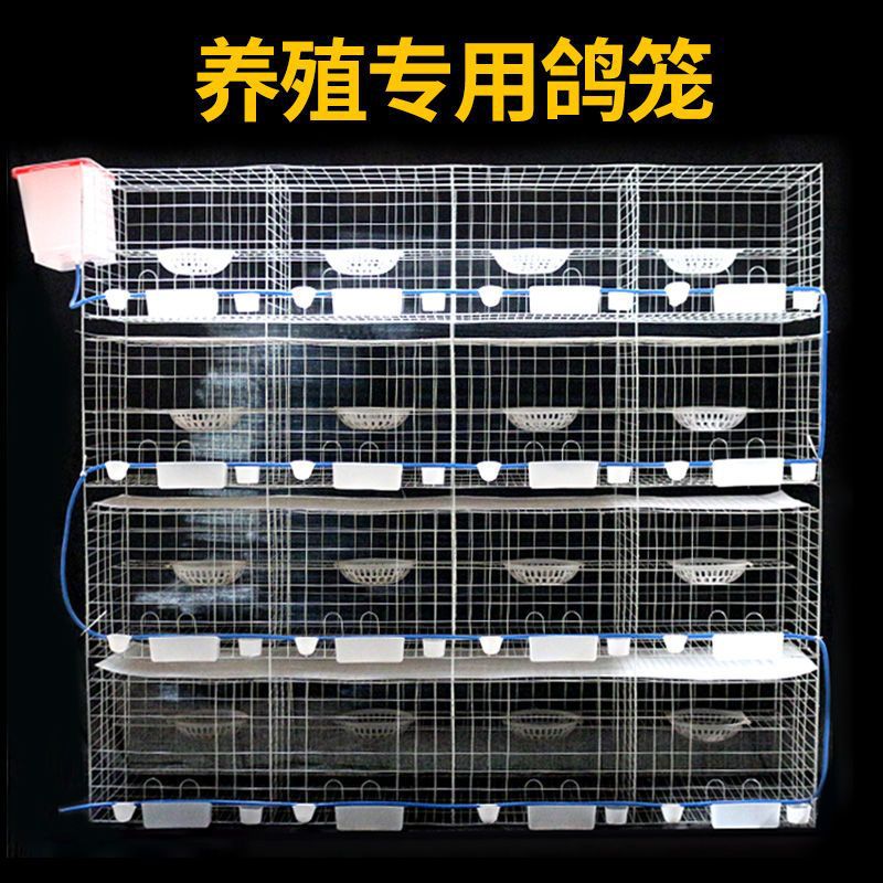 热卖鸽子用品用具鸽子笼养殖笼繁殖配对笼家用大型鸽笼子鸽棚鸽舍