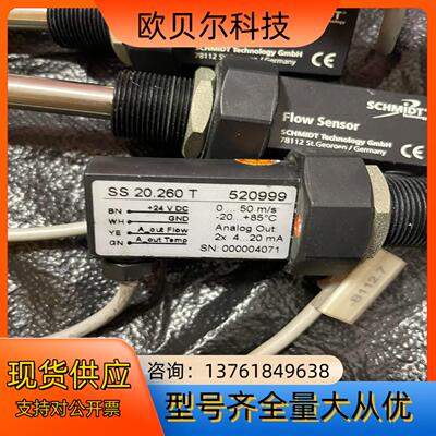 原装德国施密特SCHMIDT风速计 SS 202