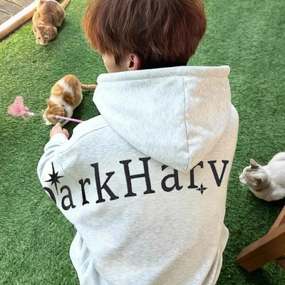 卫衣男款秋冬刺绣上衣帽衫外套