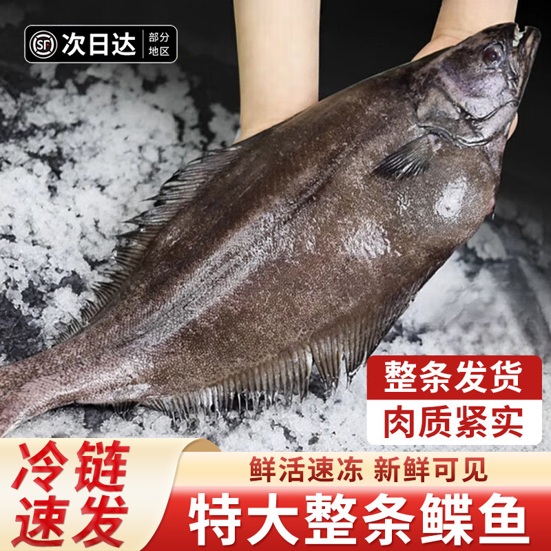 鸦鱼片身鸦鱼片整条超大号鲽鱼整条新鲜冷冻碟鱼身油鲽鱼切段头比