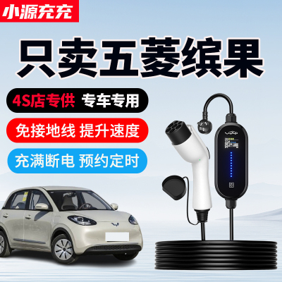 五菱缤果专用家用充电枪