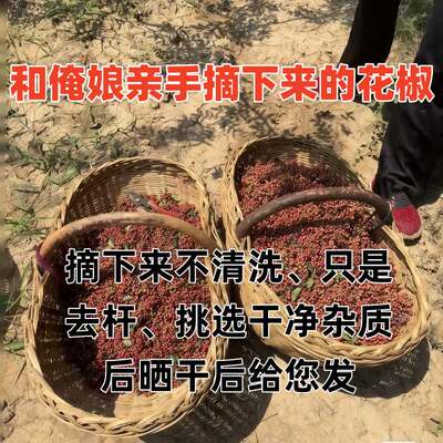 爷爷奶奶自己种的老树花椒很香麻