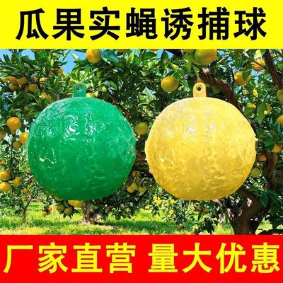 粘虫球丝瓜果实蝇贴诱蝇球针蜂马