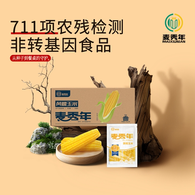【新款黄箱】麦秀年黄糯玉米东北新鲜糯玉米26年新玉米