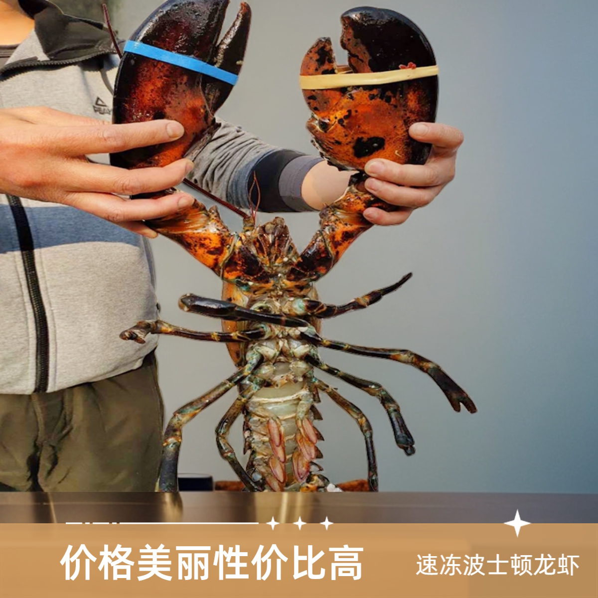 【活冻】波士顿龙虾新鲜生冻海鲜冷冻澳洲加拿大龙虾大波龙3-10斤