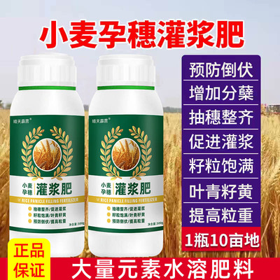 小麦孕穗灌浆肥大量元素水溶肥生根壮苗籽粒饱满小麦肥正品农用