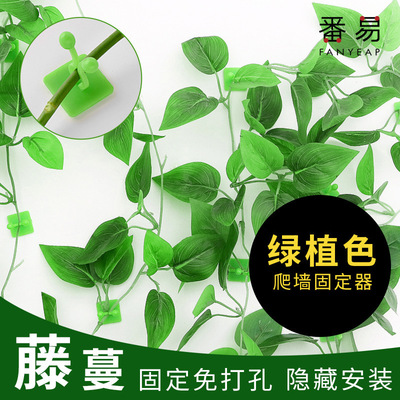 绿萝固定器A1vq001-爬上室内客厅攀爬藤蔓植物爬藤挂钩卡扣园艺工