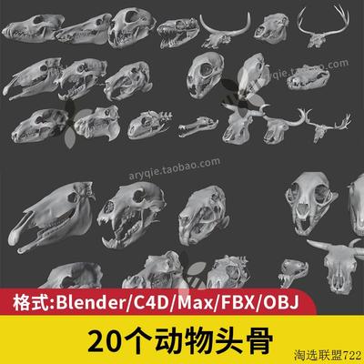 动物头骨3d模型blender羊角骨头鳄鱼max建模牛头c4d