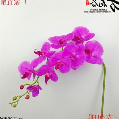 pu gluing simulation flower butterfly orchid feel single dry
