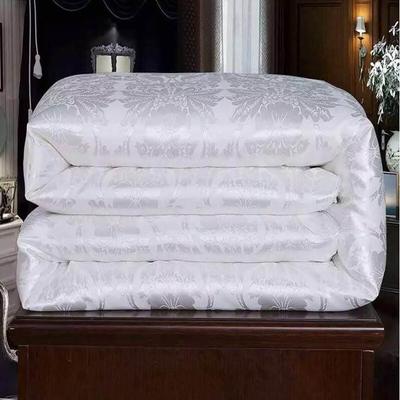 Luxury Silk Comforter Duvet Queen King size Blanket Quilt 被
