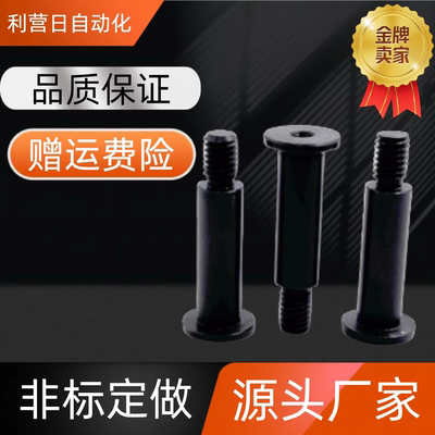 带肩铰链销内六角固定型MIJ01 CLBRU CLBR6 8 10 12-15 20 25 30