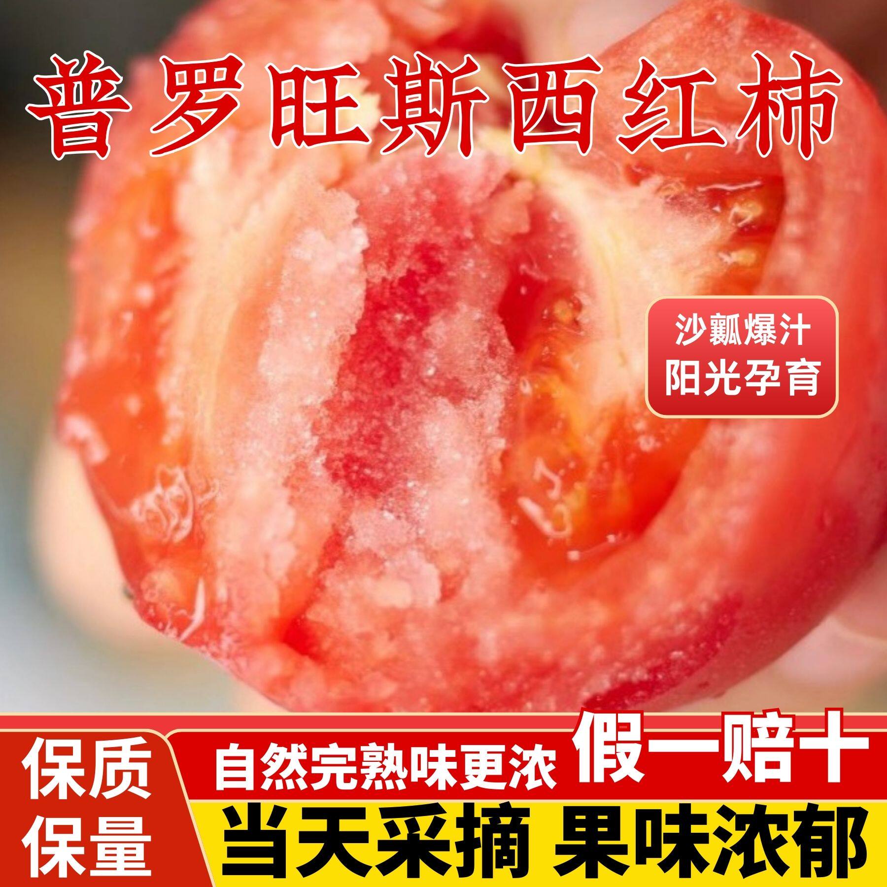 新疆普罗旺斯沙瓤西红柿爆汁番茄自然成熟柿子全国整箱包邮