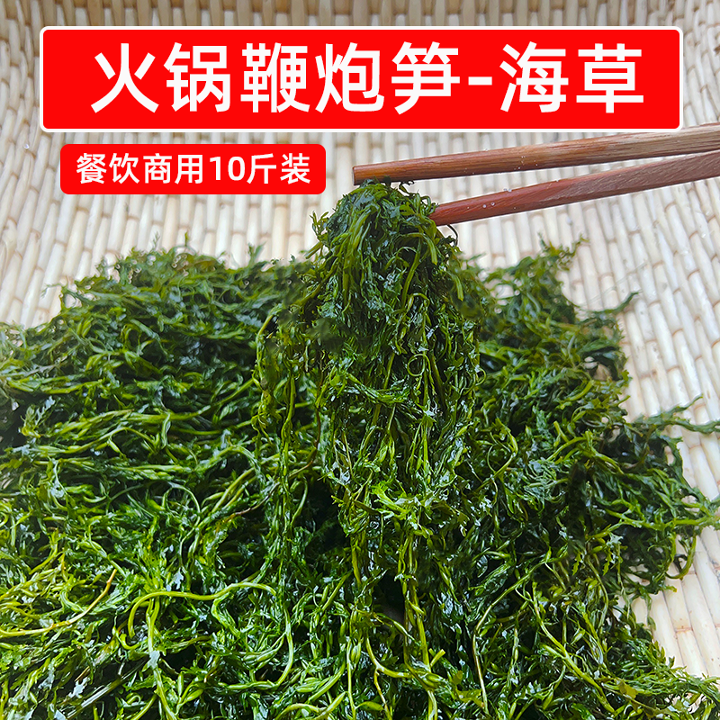 厂家直销火锅鞭炮笋海草10斤盐渍马尾藻长寿菜龙须菜商用凉拌食材