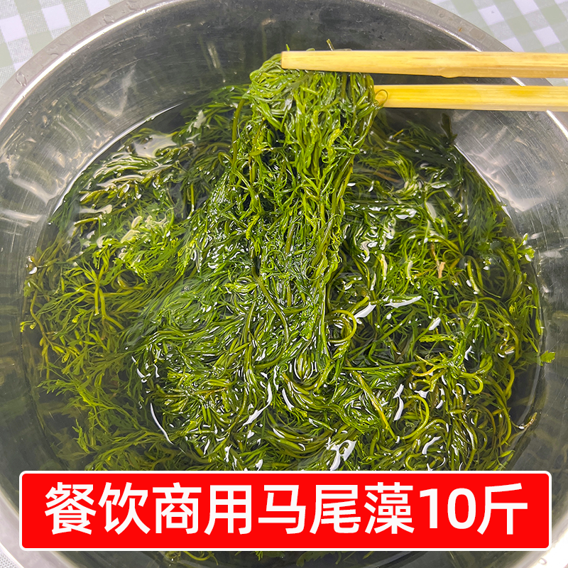 餐饮商用马尾藻10斤盐渍鞭炮笋长寿菜龙须海草火锅麻辣烫冒菜食材