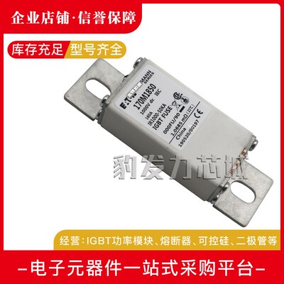 170M2691/2692/2693/2694/2695/2696/2697/2698-2702全新熔断器