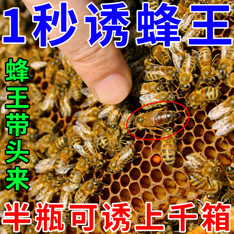 新品蜂蜡诱蜂用诱蜂膏诱蜂招蜂水野外中土M蜂新手引蜂神器养蜂专