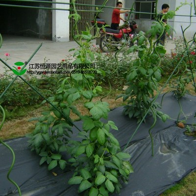 家庭种植架 花园庭院搭棚架 植物爬藤架 螺旋支架 装饰支架