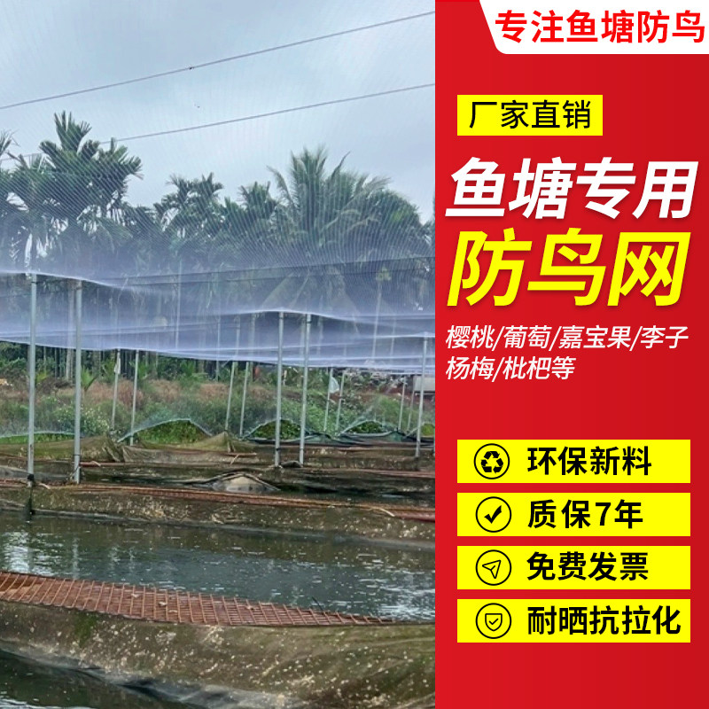 鱼塘防鸟网养殖网农田防大型鸟青蛙泥鳅锦鲤养殖场防鸟天网防护网