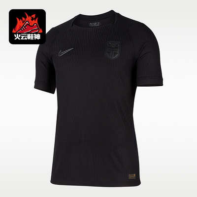 Nike/耐克正品Aero-FIT男士经典时尚透气短袖T恤IB5210-010