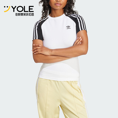 Adidas/阿迪达斯正品三叶草女士休闲修身运动针织透气短袖JD0834
