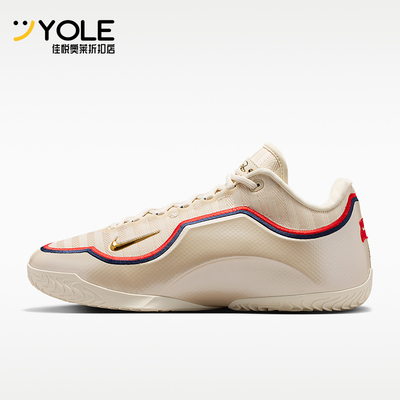 Nike/耐克正品JORDANLeBronXIEP詹姆斯经典男篮球鞋IB9563-103