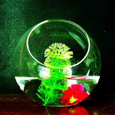 厂家璃苔藓瓶bx-043瓶微景观生态花瓶多肉植物花斜口玻璃可加工玻