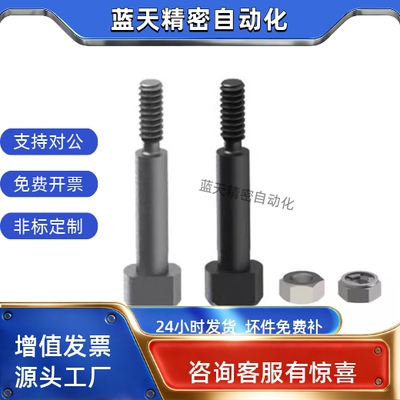 D425L220.0A带肩铰链销螺帽