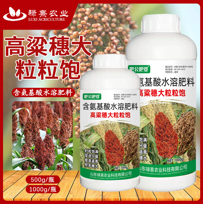 高粱穗大粒粒饱籽粒饱满茬多穗大抗倒伏通用叶面肥