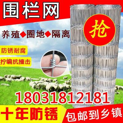 镀锌铁丝网围栏防锈牛栏网养殖牛羊隔离护栏户外防护网果园围栏网