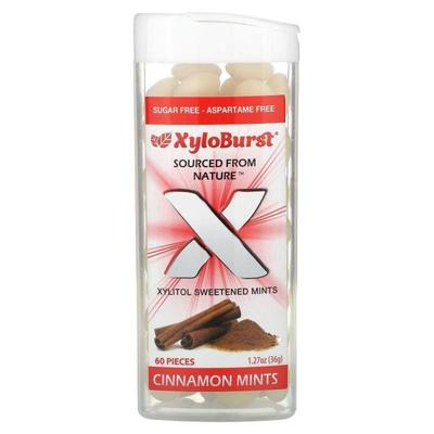 Xyloburst,Xylitol Sweetened Mints, Cinnamon, 60 Pieces, 1.27