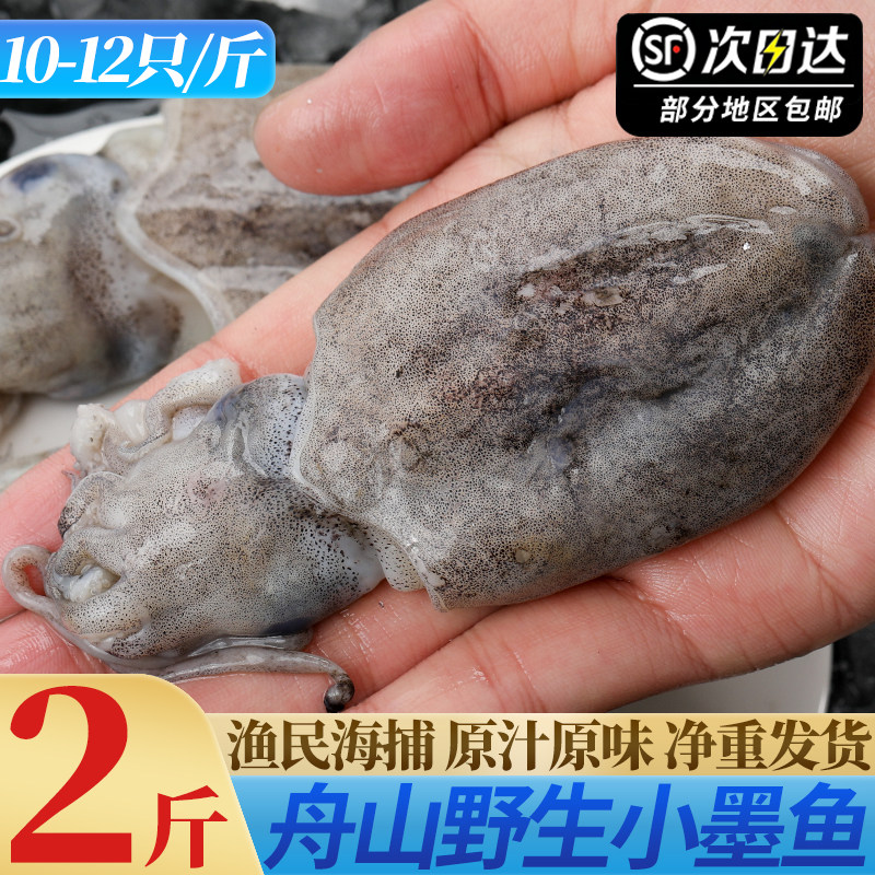 2斤海捕野生小墨鱼仔东海墨鱼鲜活新鲜冷冻大墨鱼生鲜目鱼乌贼