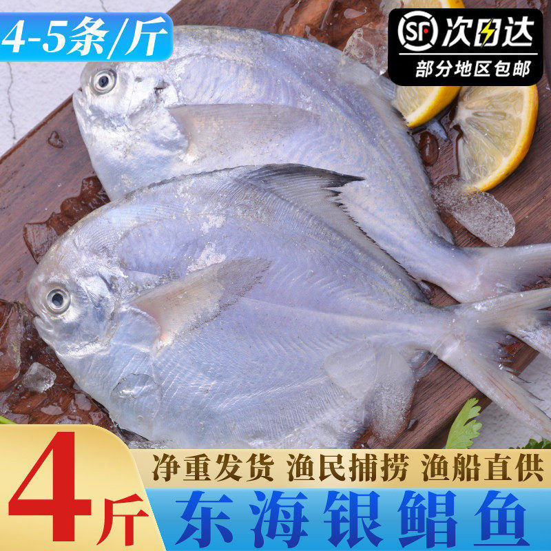 银鲳鱼新鲜冷冻东海鲳鱼舟山宁波海鲜白鲳鱼鲳鳊鱼深海大鲳鱼冰冻
