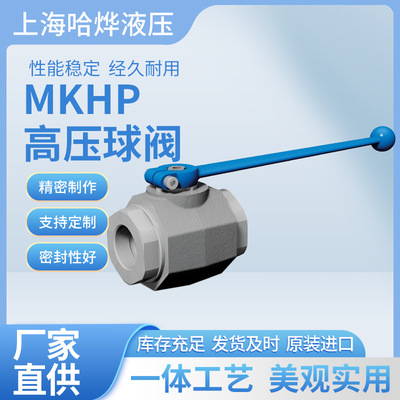 MHA德国   MKHP420  DN50 G2  112A   420bar