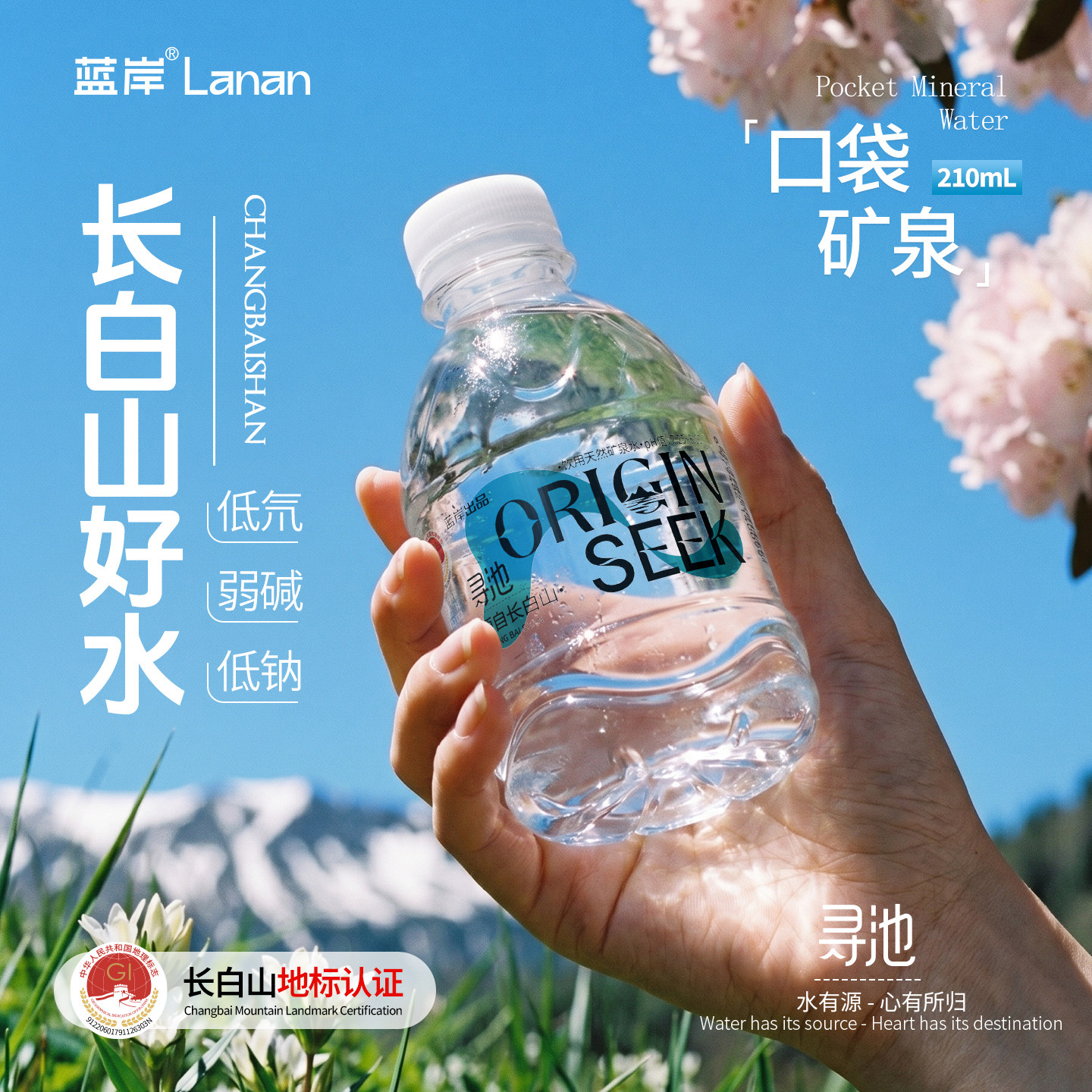 蓝岸长白山天然矿泉水迷你装小瓶水家庭整箱便携12瓶饮用口袋水