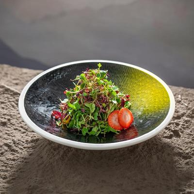 新款酒店陶瓷圆形凉菜冷盘感私房餐厅带汤汁热菜汤盘碟子餐具