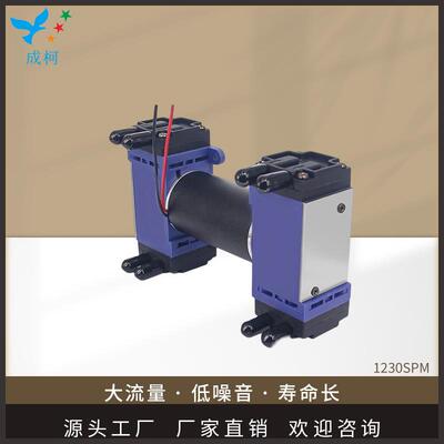 1230SPM双头泵微型泵负压隔膜泵直流气泵增压泵3v真空泵抽气泵