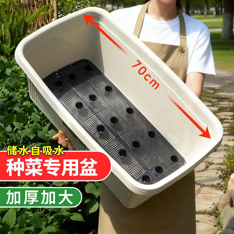 种菜盆种植箱环保树脂原料加厚耐用自吸水懒人果草莓蓝莓蔬种植盆