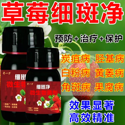 草莓细斑净草莓专打顽固角斑根腐烂棵空心黄萎白粉炭疽灰霉疫病菌
