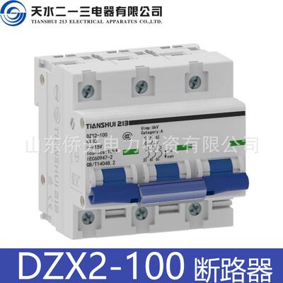 天水二一三TIANSHUI213小型断路器DZX2-100 2P80A3PC100A空气开关