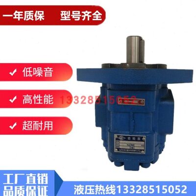 2040BY182025BYCC 40224江四川 C 6CL -20齿轮泵BY长R203 BY4L