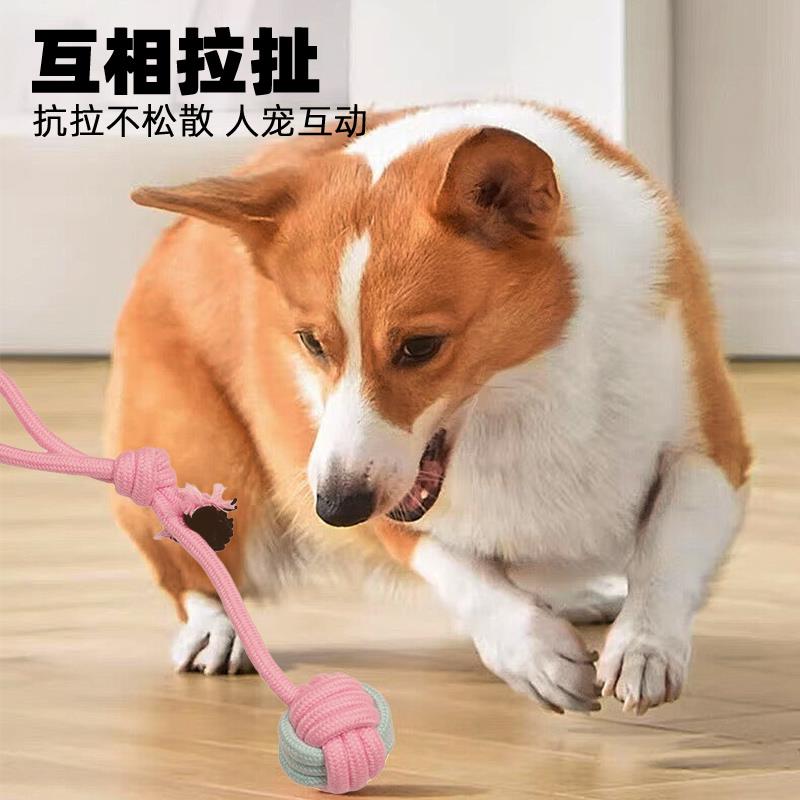 星奇趣狗狗拔河玩具互动绳结狗玩具大型犬洁齿磨牙麻绳耐咬防拆家