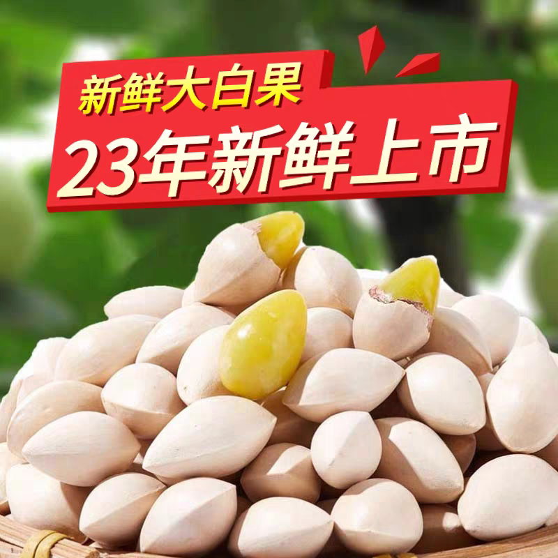 2023年新鲜白果子银杏果生百果仁无漂白带壳白果邳州特产