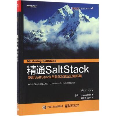 正版精通SaltStack