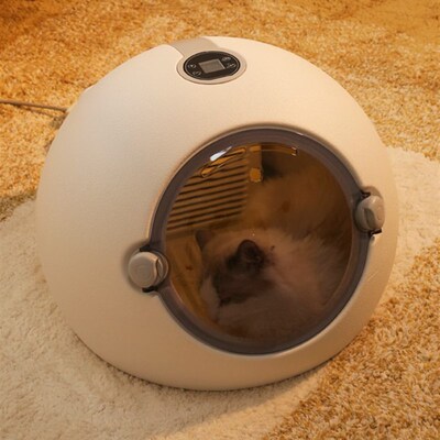 霍曼PAPIFEED宠q物烘干箱全自动猫咪烘干机家用小型狗狗猫洗澡吹