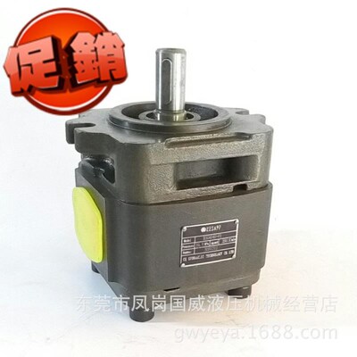 HDS内啮合齿轮泵BIG4050代替EIPC3液压泵 W齿轮泵高压油泵