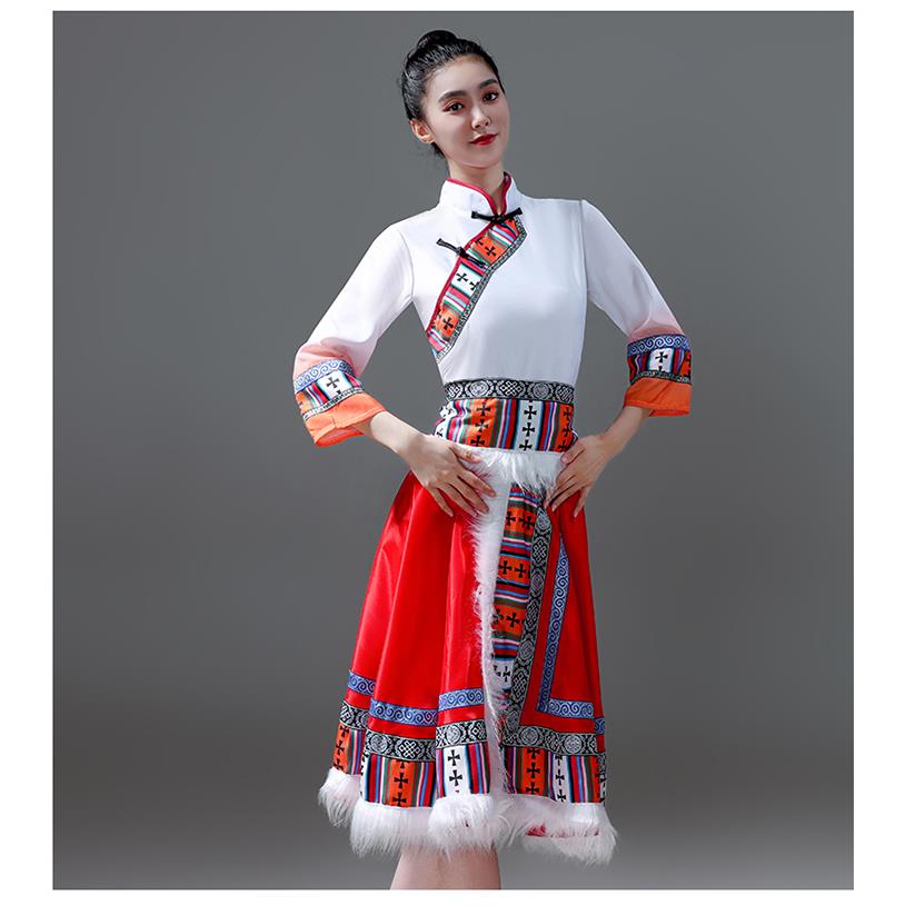 新款藏族舞蹈演出服装广场舞半身裙民族风表演服饰学生艺考练功练