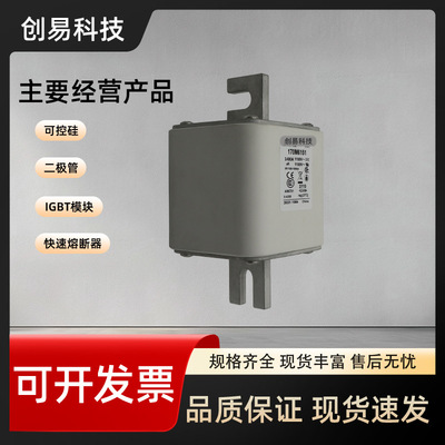 170M6158 170M6159 170M6160 170M6161 170M6162全新现货熔断器