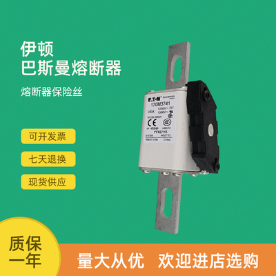 极速全新快速熔断器保险170M3061 170M3E062 170M3063 170M3064