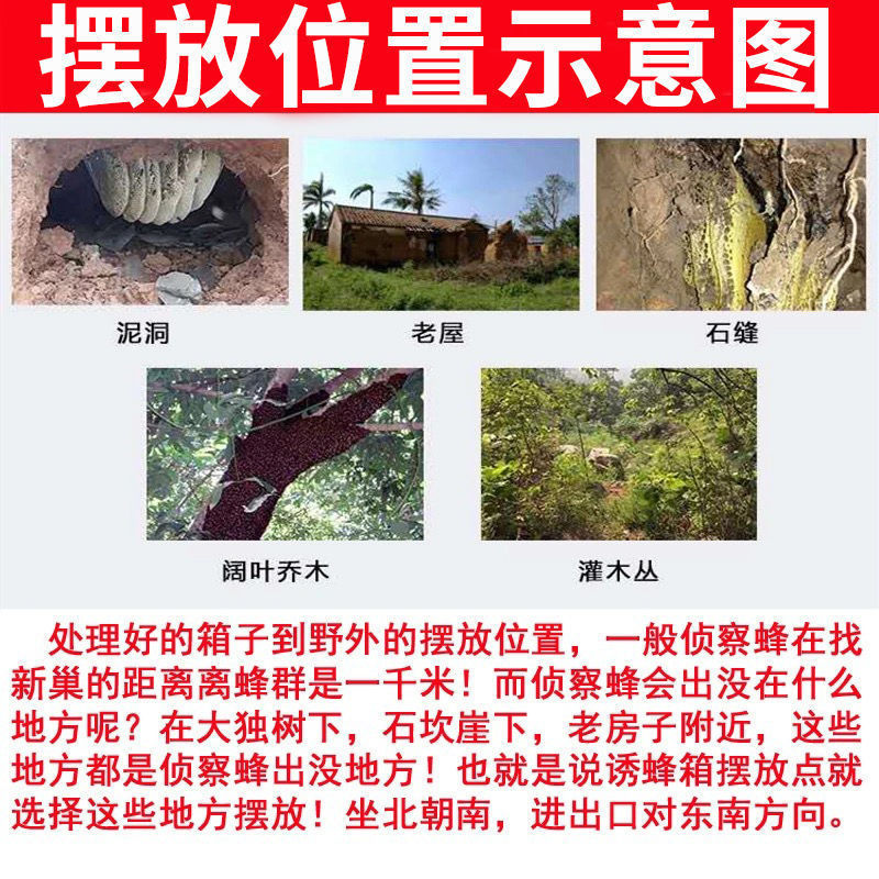 新品老汉诱蜂膏招l蜂水诱蜂蜡收蜂诱蜜蜂引蜂收捕野蜂中蜂分蜂养